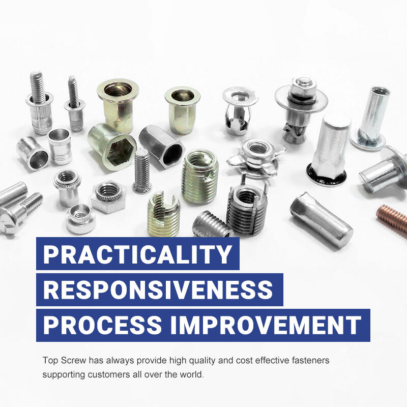 Expansion Anchor / Undercut Anchor