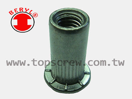 Wedge Head Rivet Nut Series - 螺峯