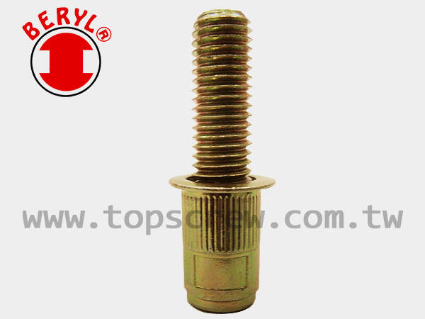 International Certification and Quality Assurance – Bolt Rivet Nuts Add ...